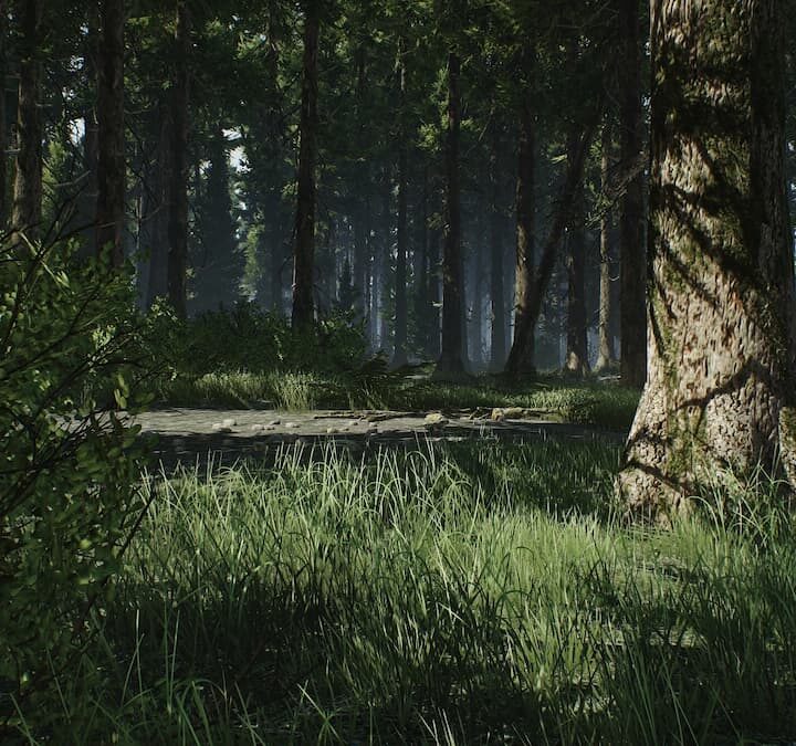 Guia de Mapas de Fuga do Bosque de Tarkov Guia de Mapas de Fuga do Bosque de Tarkov